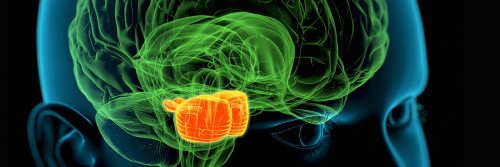 Pediatric Brain Tumors | Memorial Sloan Kettering Cancer Center