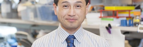 Research Suggests How Boosting Neoantigens Can Make Immunotherapy More ...