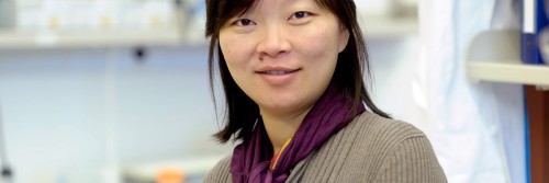 Human Oncology & Pathogenesis Program | Memorial Sloan Kettering Cancer ...