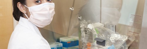 Training & Education: MSK Office of Health Equity | Memorial Sloan ...