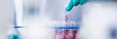 FDA Approves Drug for Low-Grade Glioma With IDH Gene Mutation ...