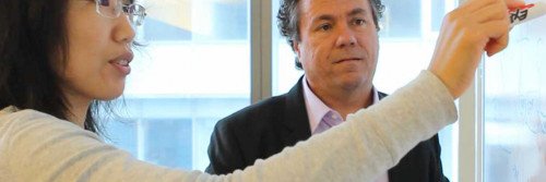 The Scott Lowe Lab | Sloan Kettering Institute