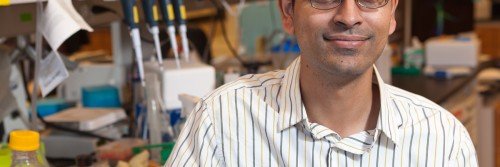 Powerful New Bladder Cancer Treatments: Antibody-Drug Conjugates and ...