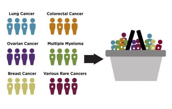 Three Compelling Cancer Advances from 2015 | Memorial Sloan Kettering ...