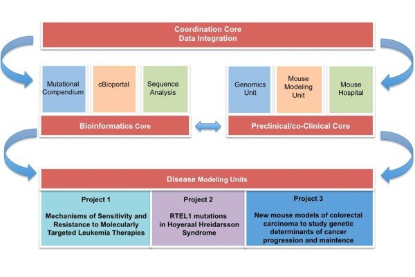 Pilot Center for Precision Disease Modeling | Memorial Sloan Kettering ...