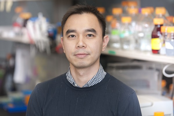 Albert Agustinus | Sloan Kettering Institute