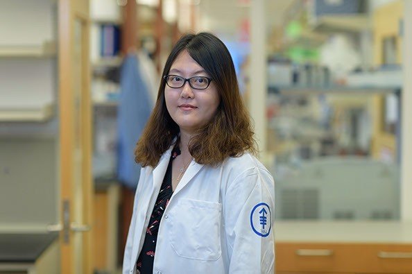 The Adrienne Boire Lab: Yudan Chi | Memorial Sloan Kettering Cancer Center