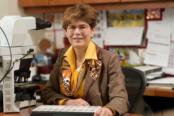 A Brief Guide to Breast Cancer Pathology and Second Opinions | Memorial ...