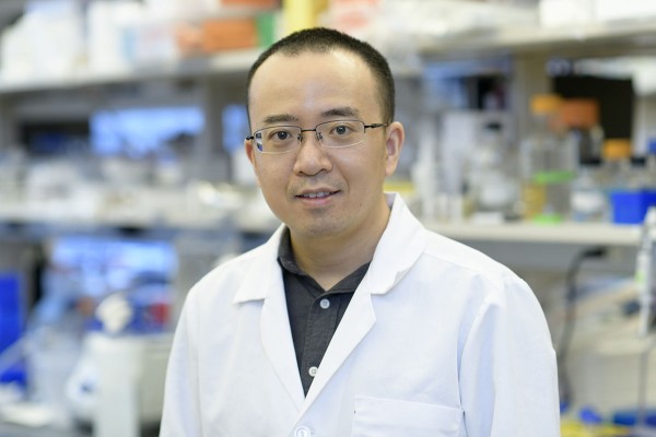 The Yu Chen Lab: Dan Li | Memorial Sloan Kettering Cancer Center