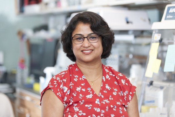 The Kenneth Offit Lab: Semanti Mukherjee | Memorial Sloan Kettering ...