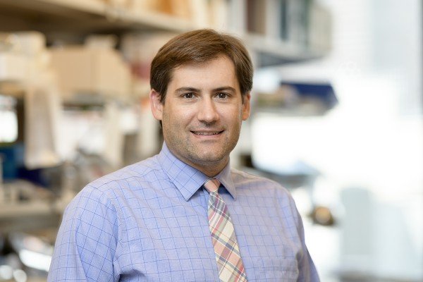 The Charles Sawyers Lab: Samuel Haywood | Memorial Sloan Kettering ...