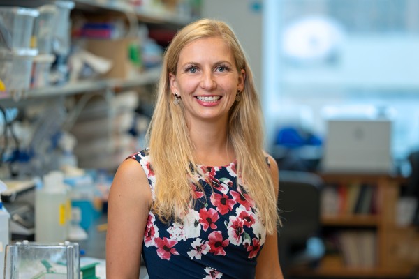 Katja Srpan | Sloan Kettering Institute