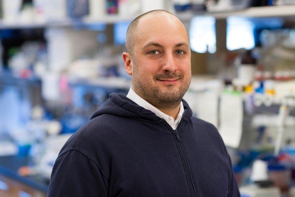 The Ross Levine Lab: Todd Hricik | Memorial Sloan Kettering Cancer Center