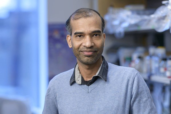 The James Fagin Lab: Gnana Prakasam Krishnamoorthy | Memorial Sloan ...