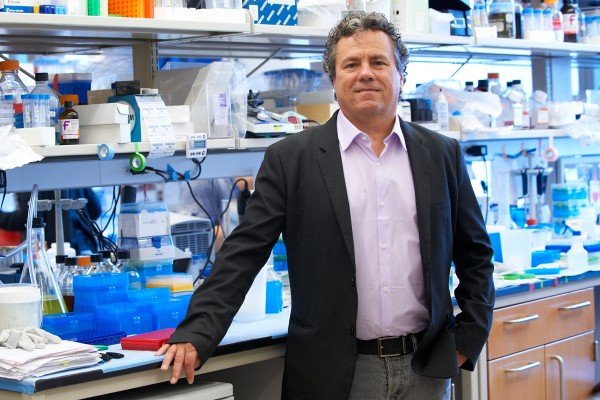 At Work: Cancer Biology and Genetics Program Chair Scott Lowe | Sloan ...