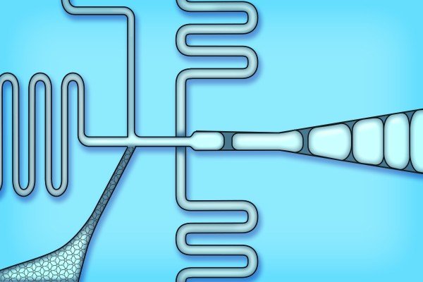 The Alan and Sandra Gerry Metastasis and Tumor Ecosystems Center ...