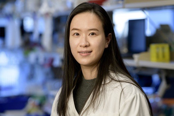 Xin Fang | Sloan Kettering Institute