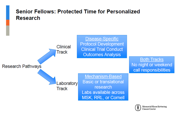 Medical Oncology/Hematology Fellowship — Traditional Track | Memorial ...