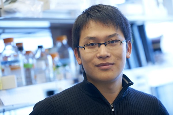 Ping Mu | Sloan Kettering Institute