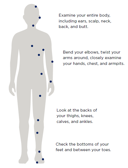 What You Can Do To Prevent Skin Cancer | Memorial Sloan Kettering ...