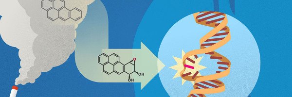 Do Cell Phones Cause Cancer? | Memorial Sloan Kettering Cancer Center