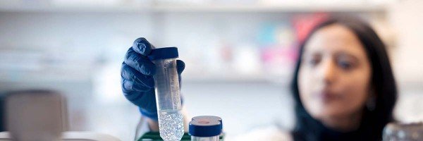 The Scott Lowe Lab | Sloan Kettering Institute