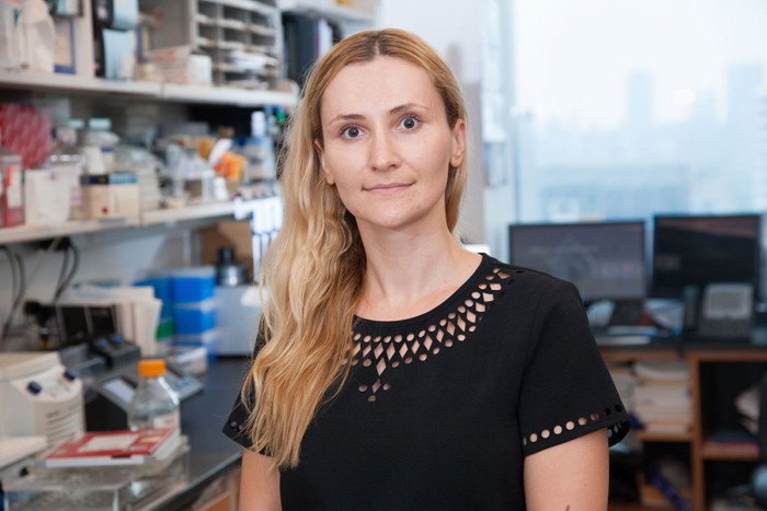 The Vladimir Ponomarev Lab: Kateryna Kharchenko | Memorial Sloan ...