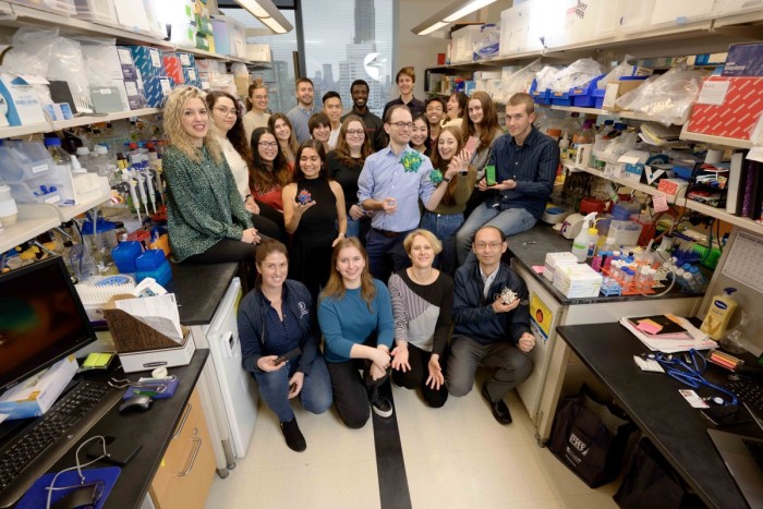 The Daniel Heller Lab | Sloan Kettering Institute