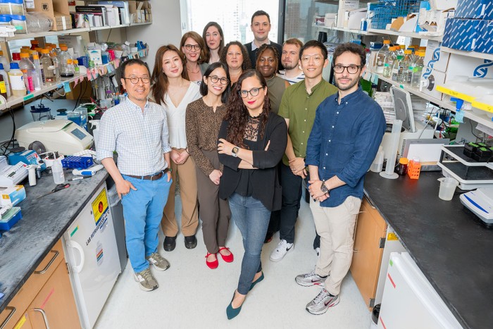The Yael David Lab | Sloan Kettering Institute