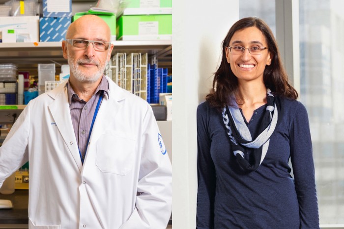 Center for Tumor-Immune Systems Biology | Memorial Sloan Kettering ...