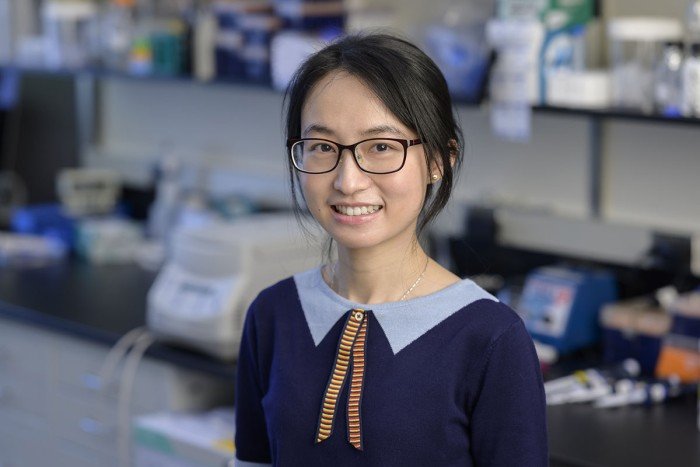 Yi Fu | Sloan Kettering Institute