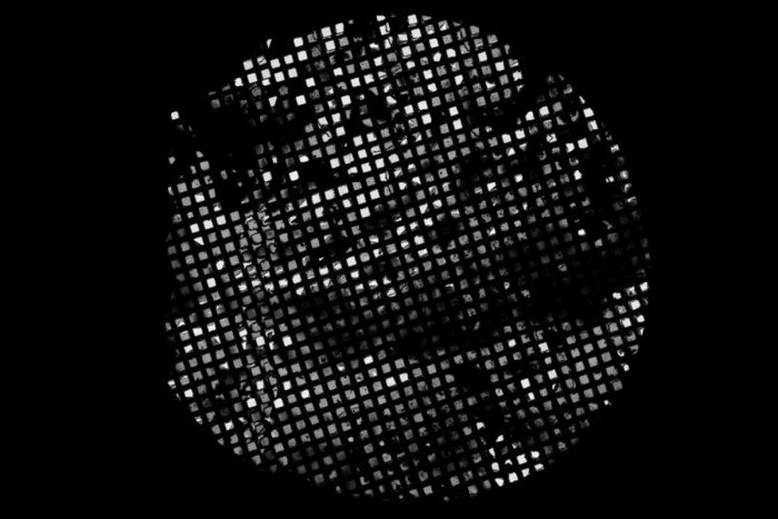 SKI Scientists Determine Structure of a DNA Damage 'First Responder ...