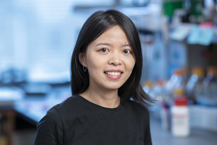 Yanyan Chen | Sloan Kettering Institute
