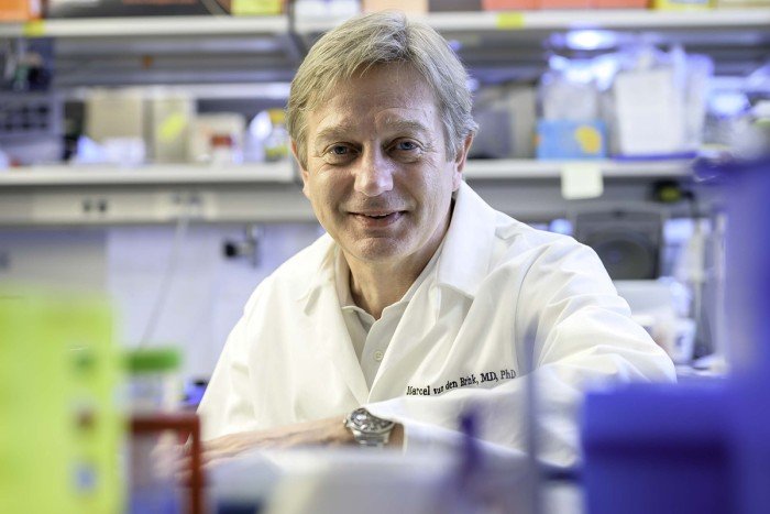 Fecal Transplants Boost Helpful Microbiota for Stem Cell Transplant ...