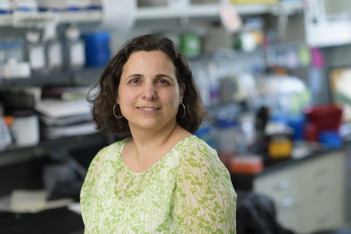 Angela Pepe-Caprio | Sloan Kettering Institute