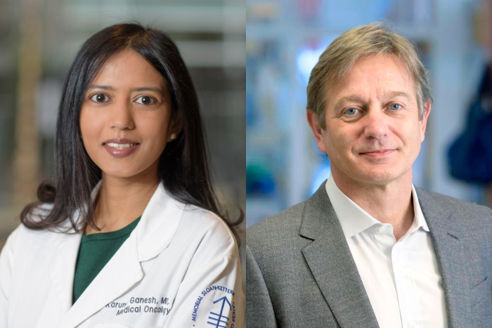 The Gut Microbiome and Cancer: MSK Researchers Present New Findings ...