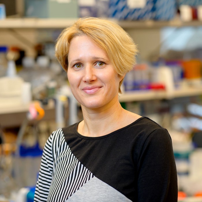 Boglarka Racz | Sloan Kettering Institute