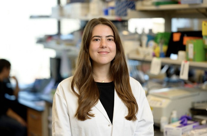 Jennifer Lewis | Sloan Kettering Institute