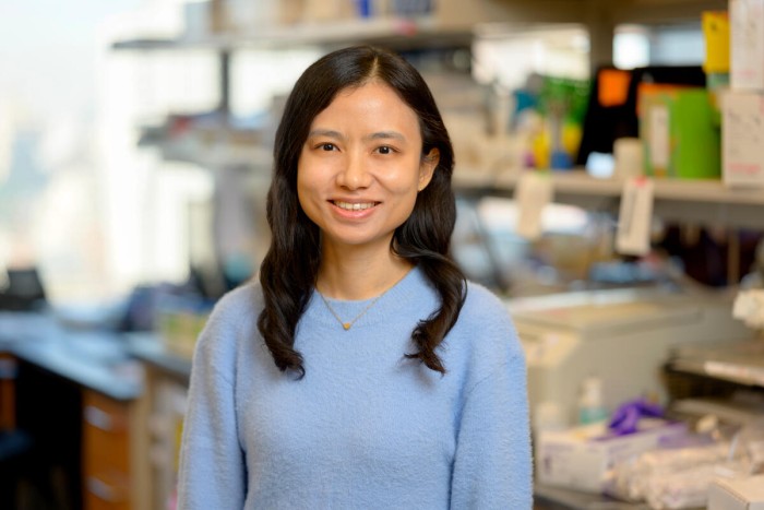 New Type of CAR T Cells Successfully Target AML in Pilot Study ...