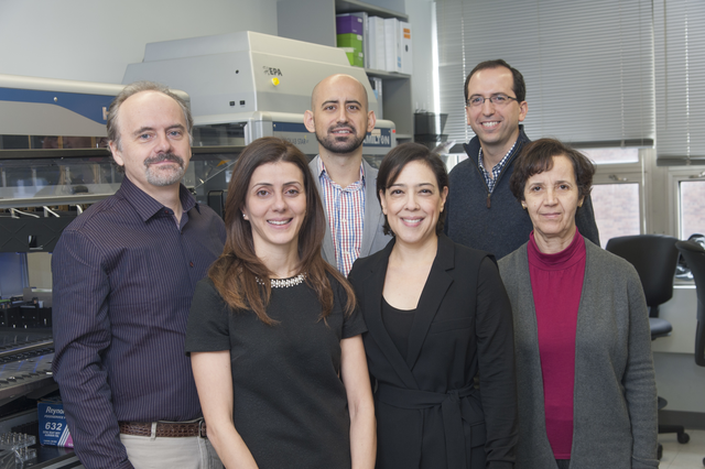 MSK-IMPACT®: A Targeted Test for Mutations in Both Rare and Common ...