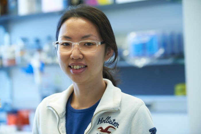 Pui-Mun Wong | Sloan Kettering Institute