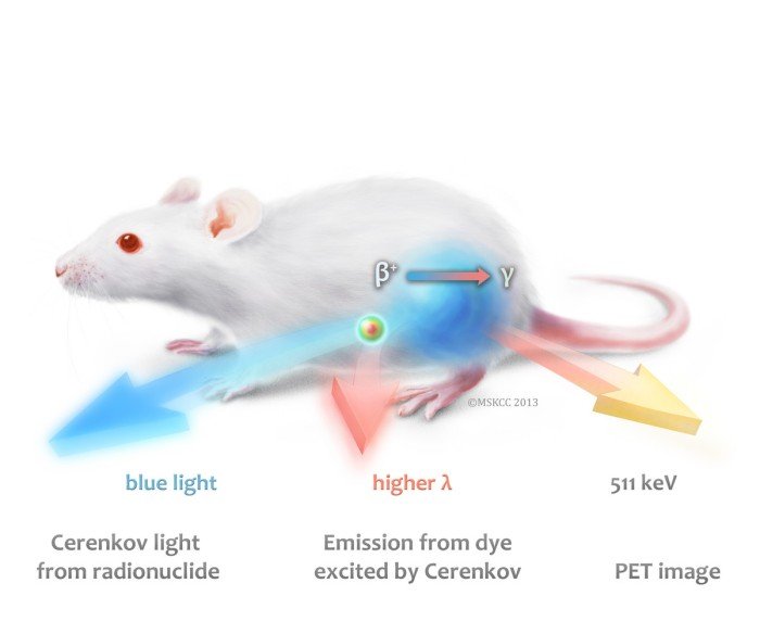 Cerenkov Imaging | Sloan Kettering Institute