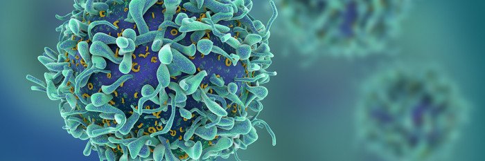 Immune Checkpoint Inhibitor Cancer Treatment | Memorial Sloan Kettering ...