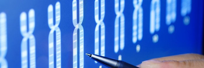 Lymphoma | Memorial Sloan Kettering Cancer Center