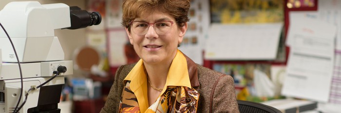 Department of Pathology and Laboratory Medicine | Memorial Sloan ...