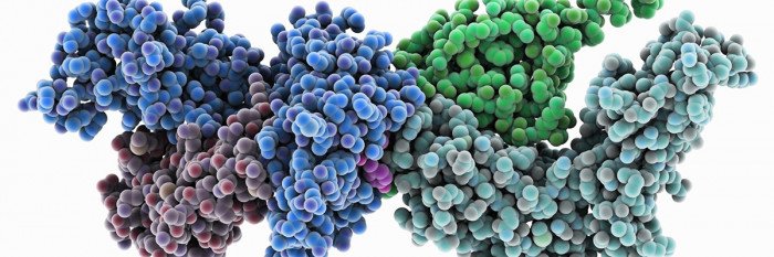 Immunotherapy Cancer Treatment | Memorial Sloan Kettering Cancer Center