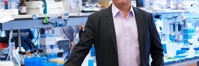 Geoffrey Beene Cancer Research Center | Memorial Sloan Kettering Cancer ...