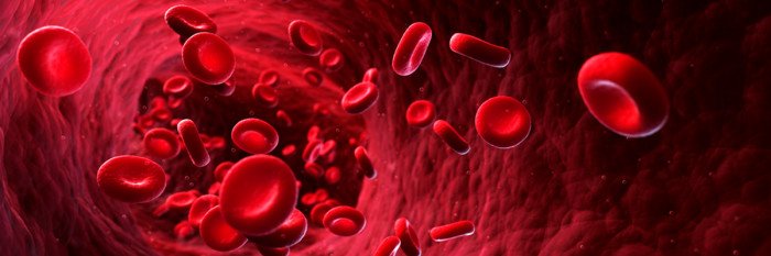 MSK-ACCESS: A Liquid Biopsy Test that Offers Noninvasive Cancer Genomic ...