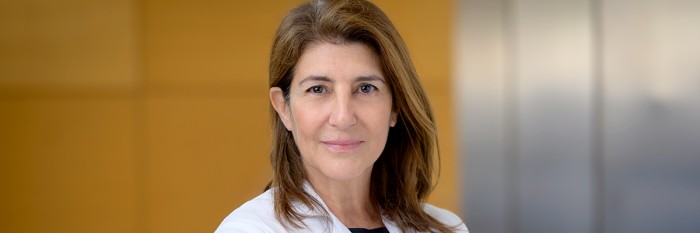 Researchers Report Excellent Outcomes for New Leukemia and Lymphoma ...