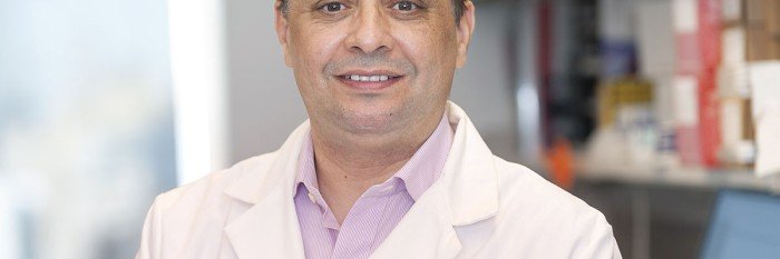 To Improve Immunotherapy, Researchers Look to Shift Immune Cells ...